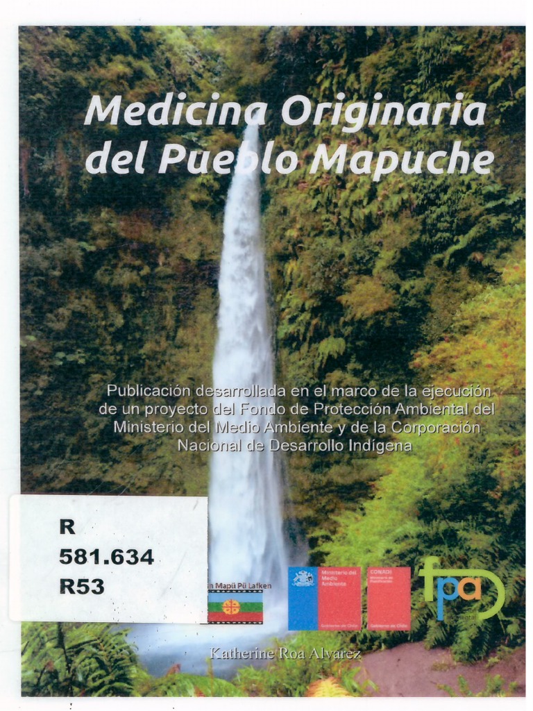 Medicina Originaria Del Pueblo Mapuche PDF | PDF