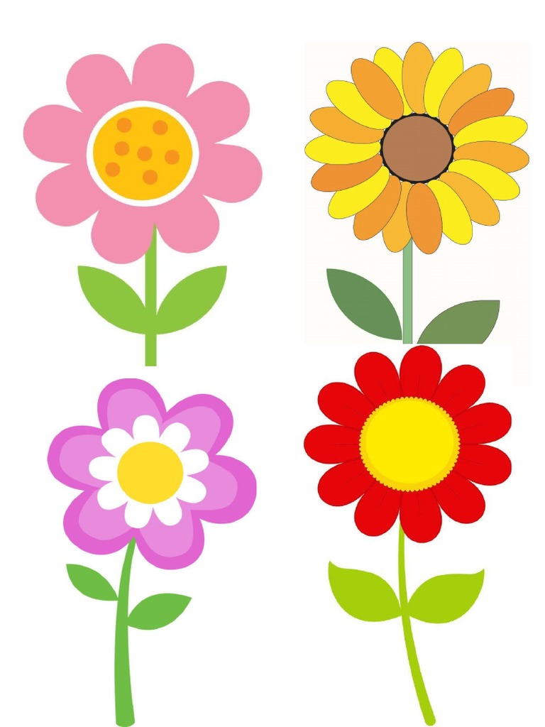 Flori Colorate 2 | PDF