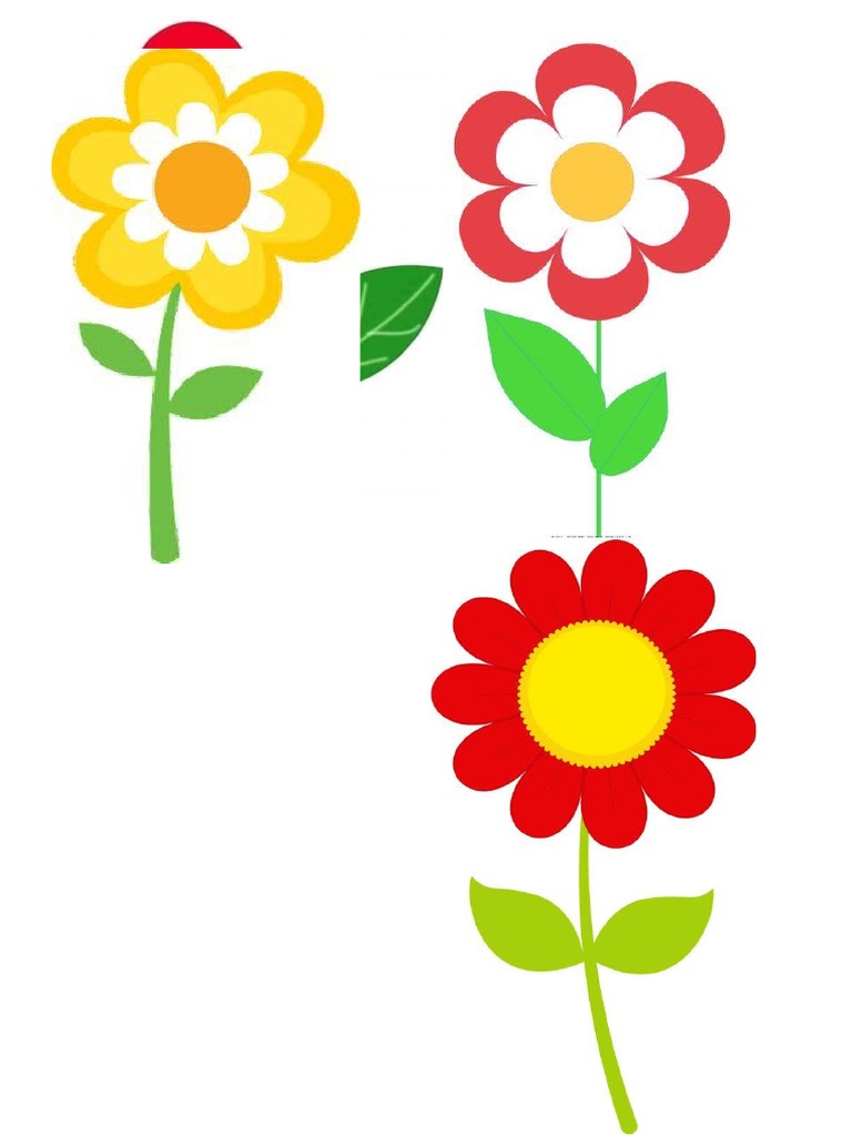 Flori Colorate | PDF