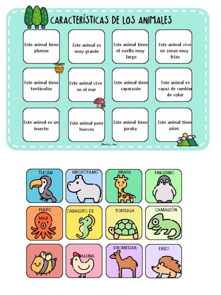 Características de Animales para Niños | PDF | Herpetología | Reptil