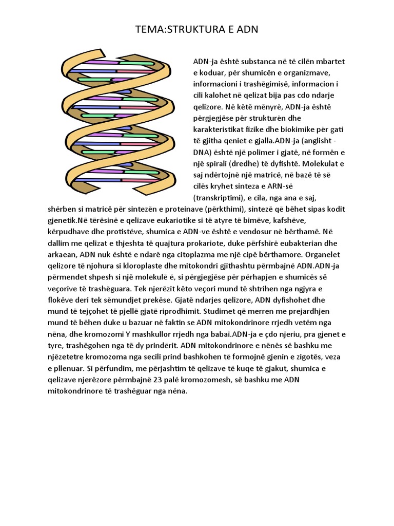Tema Struktura E Adn Pdf
