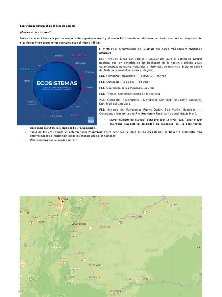 Ecosistemas Naturales en Meta, Colombia | PDF
