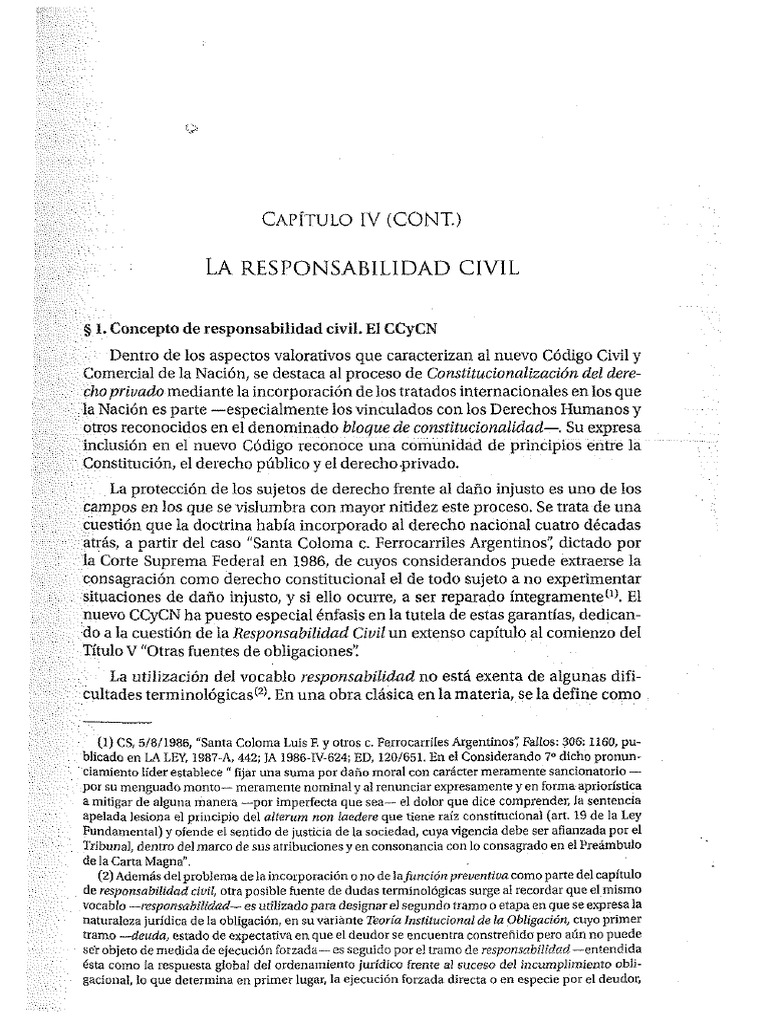 Cap 4 - Resp. Civil PDF | PDF | Mandato | Justicia