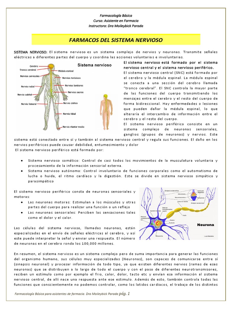 Gabarol: Principio Activo en Farmacología | PDF | Sistema nervioso ...