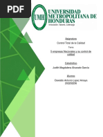 Criterios Iota Ecografia Ginecologica | PDF | Cáncer | Ovario