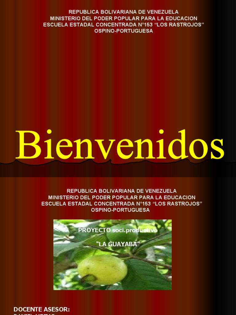 Diapositiva 1 - 19 Proyecto Socio Productivo La Guayaba | Descargar gratis PDF | Vitamina ...