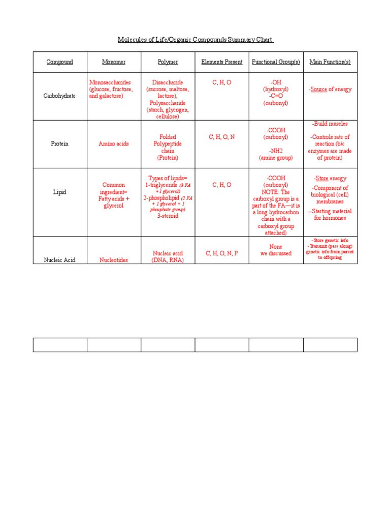 Molecules of Life Summary Chart Answer Key | PDF | Structural Biology ...