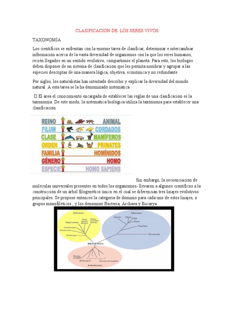 Clasificación Biológica de Seres Vivos | PDF | Taxonomía (biología ...