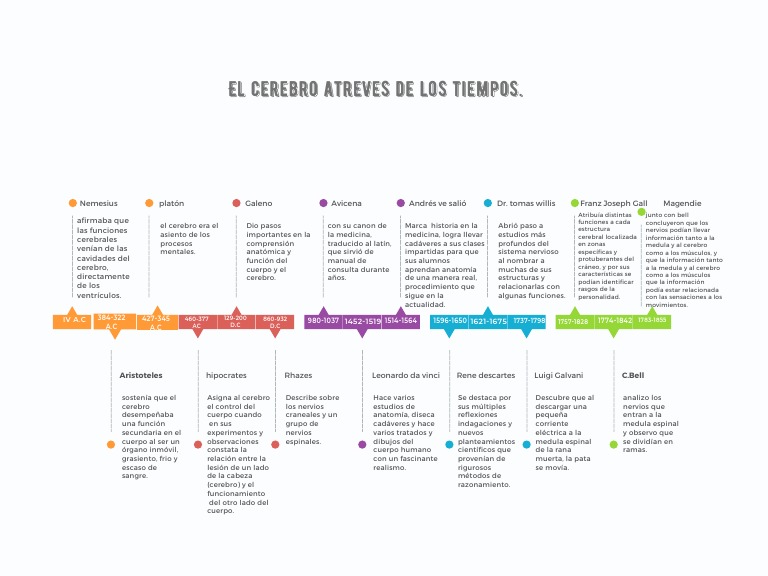 Gráfico de Línea de Tiempo Timeline Flujo Proceso Progreso Trimestral ...