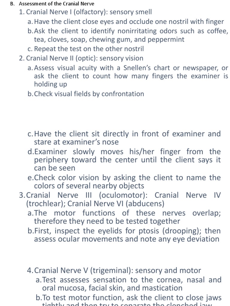 A Comprehensive Guide to Assessing the 11 Cranial Nerves Through ...