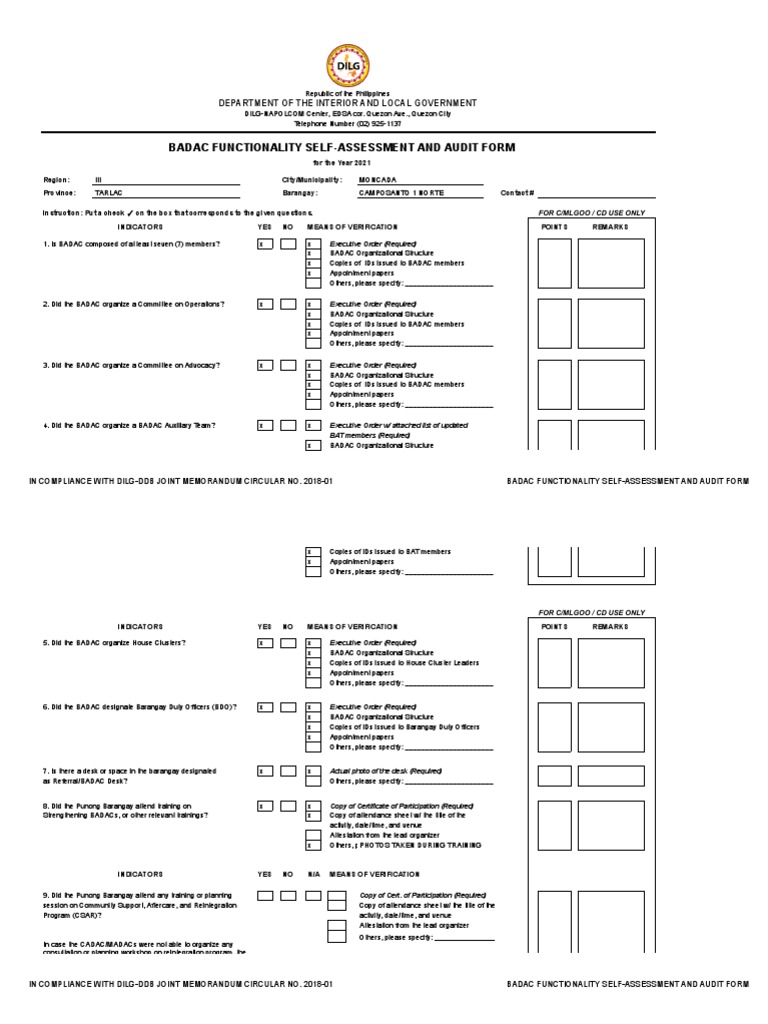 3-Badac Self-Assessment and Audit Form - Badac Assessment & Audit Form-4 | PDF | Government