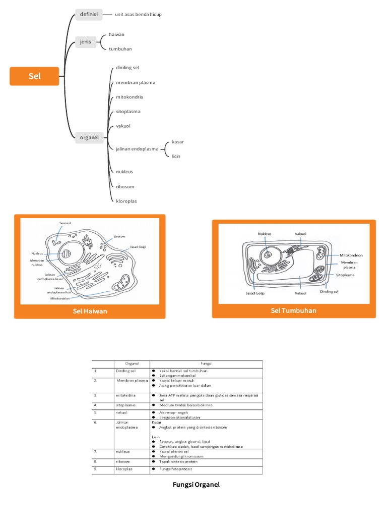 Nota Bab 2 (BM) | PDF
