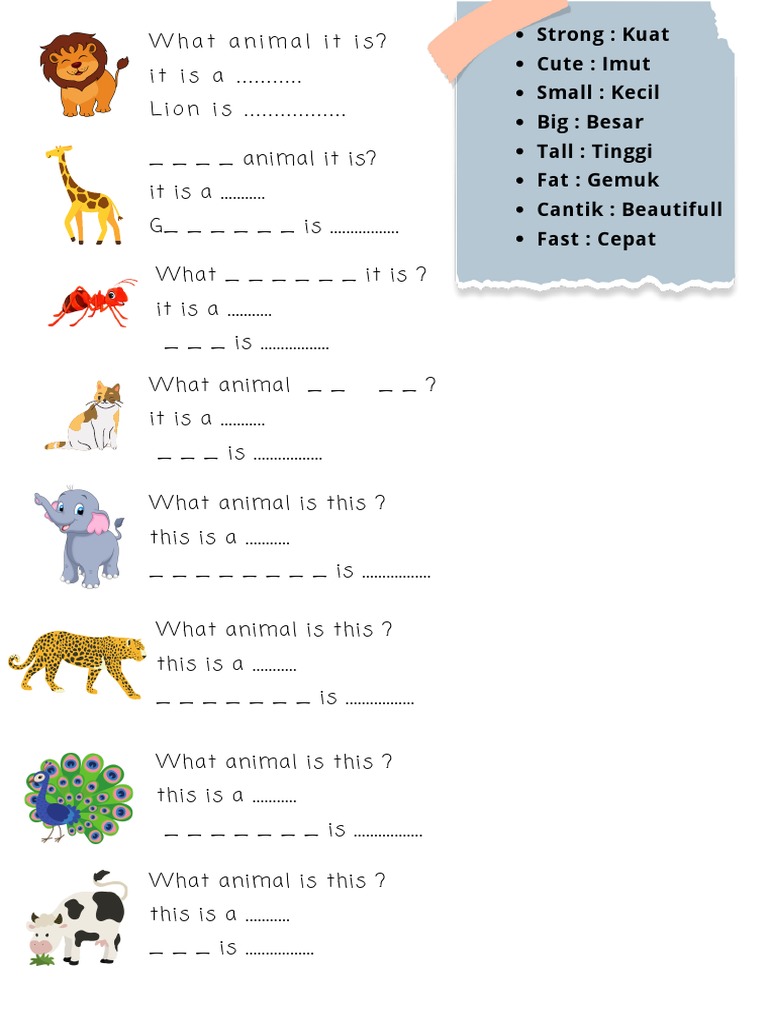 Animal Identification Worksheet | PDF | Mammals | Organisms
