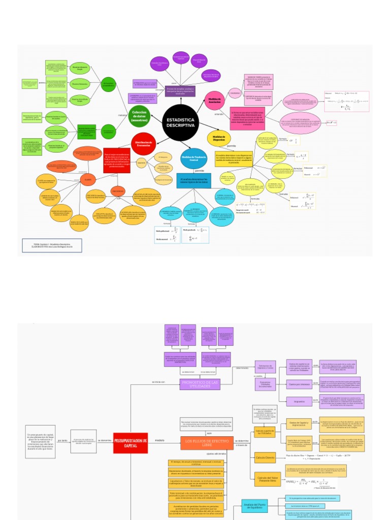Ejemplo Mapa Conceptual | PDF