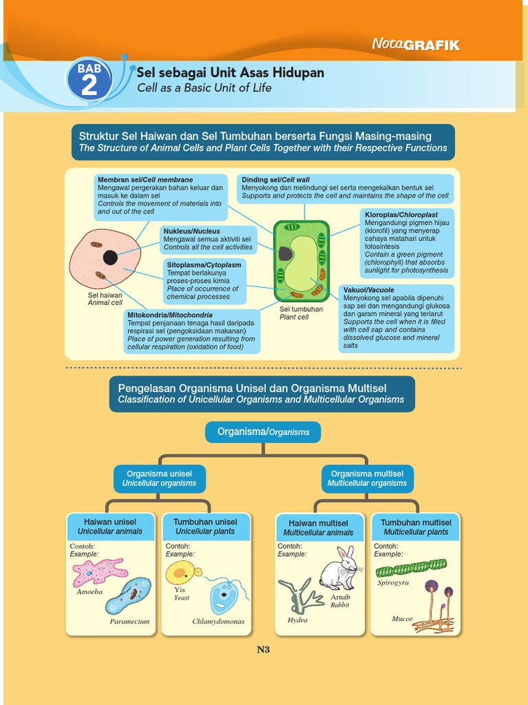 011 Nota Grafik Bab 2 | PDF | Cell (Biology) | Anatomy