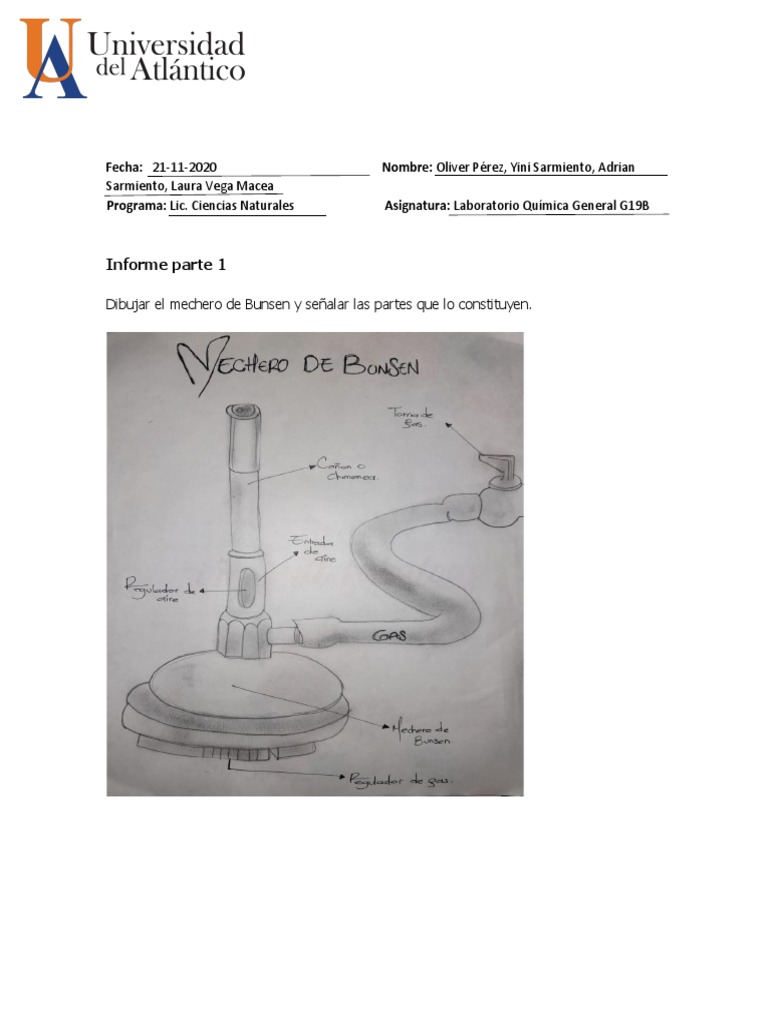 Partes y uso del mechero de Bunsen | PDF