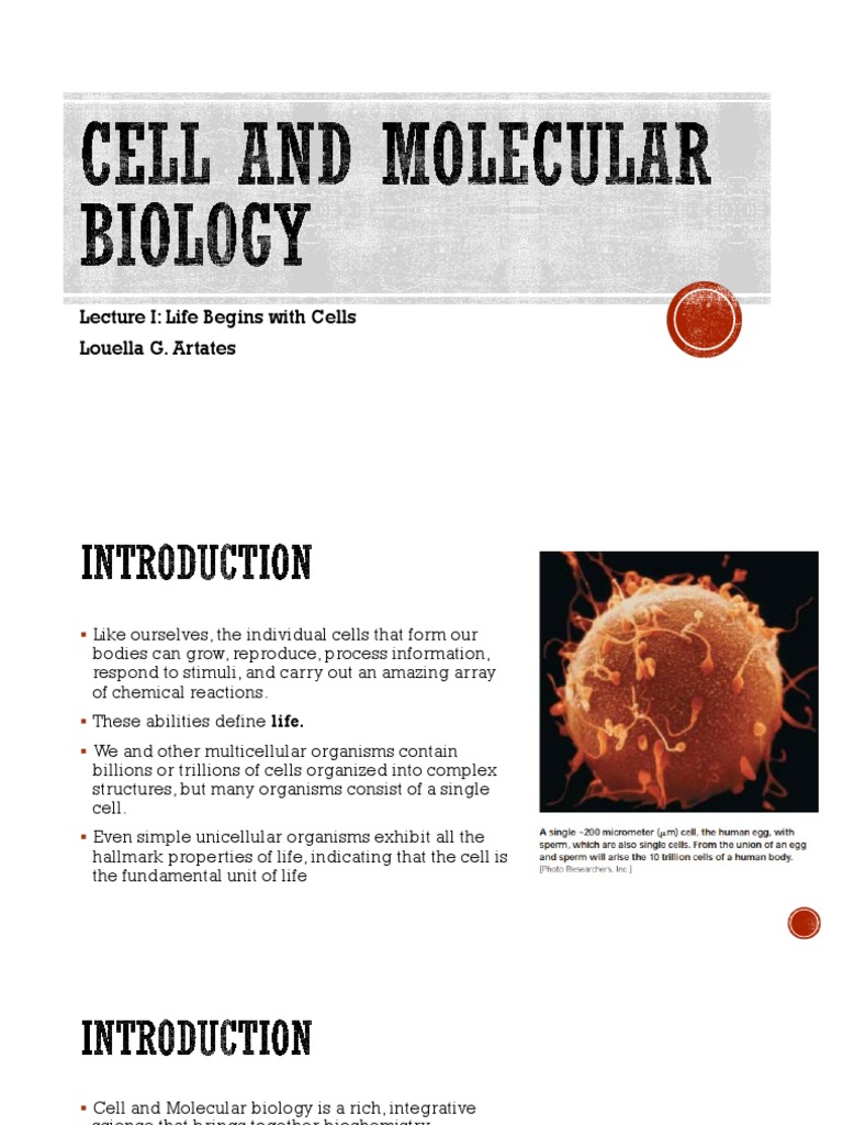 Lecture 1 Cell and Molecular Biology Intro | PDF | Cell (Biology) | Bacteria
