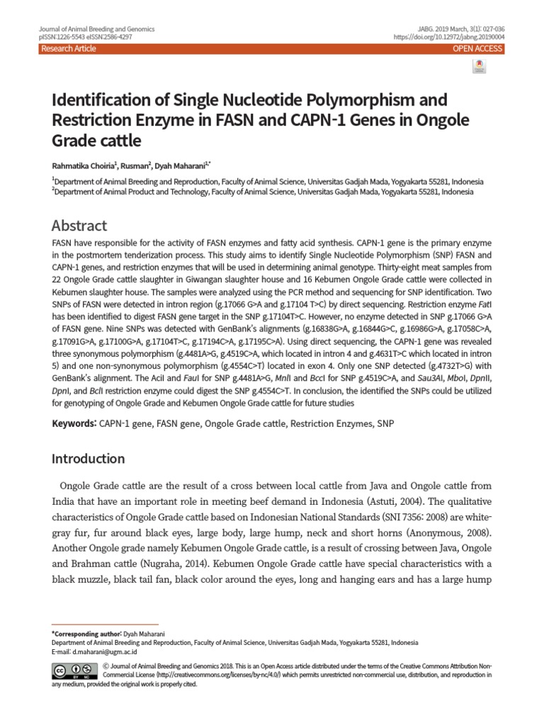 Kumpulan Paper Peternakan | PDF | Single Nucleotide Polymorphism ...
