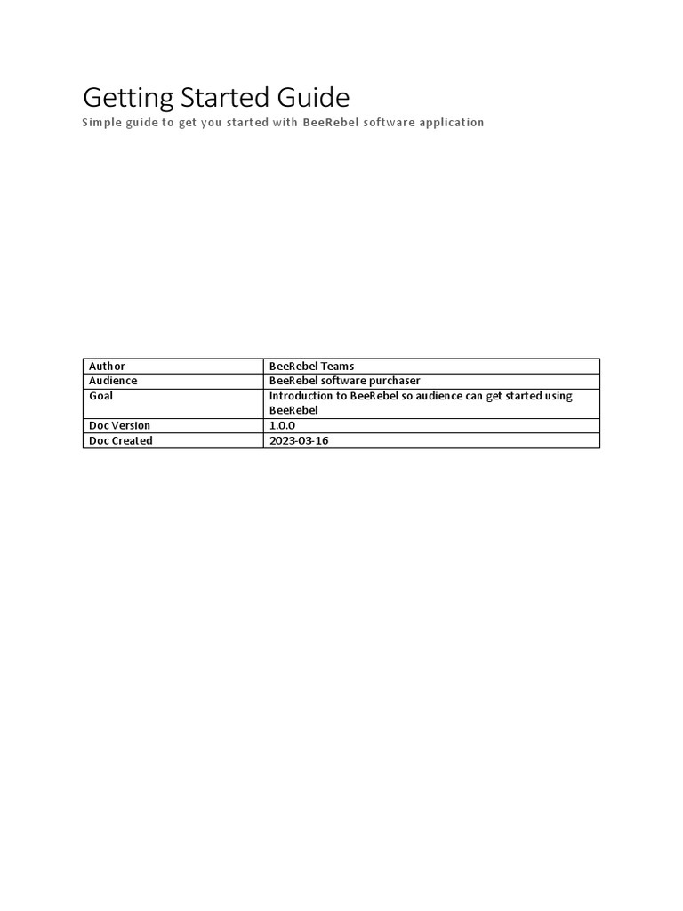 BeeRebel - Getting Started Guide | PDF | Microsoft Excel | Microsoft Sql Server