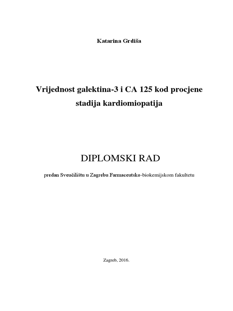 Diplomski Rad Katarina | PDF