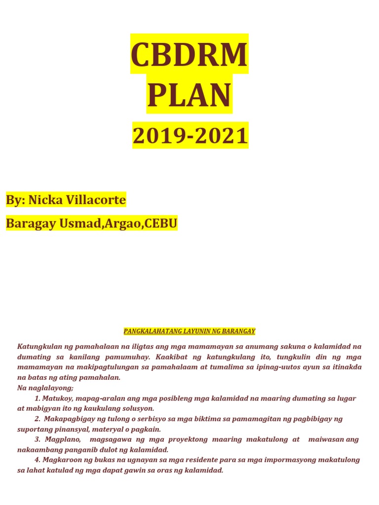CBDRRM Plan for Barangay USMAD Summarizes Key Risks | PDF | Emergency ...