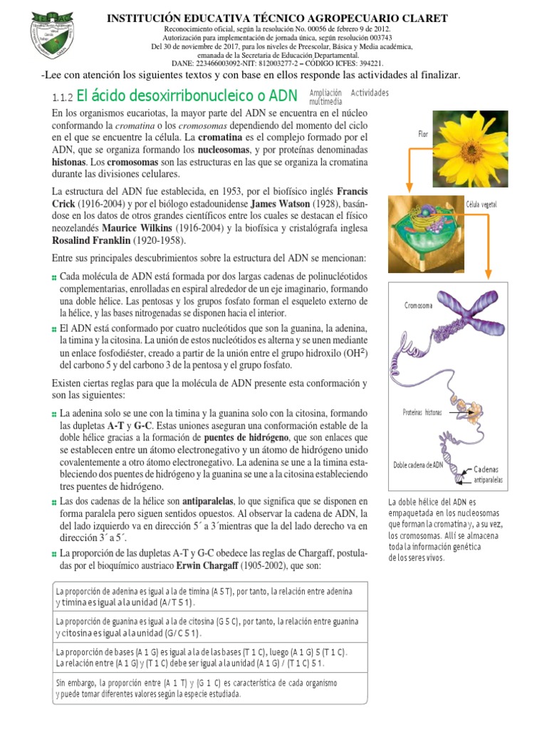 Guia Rapida 9 | PDF | Rna | Adn