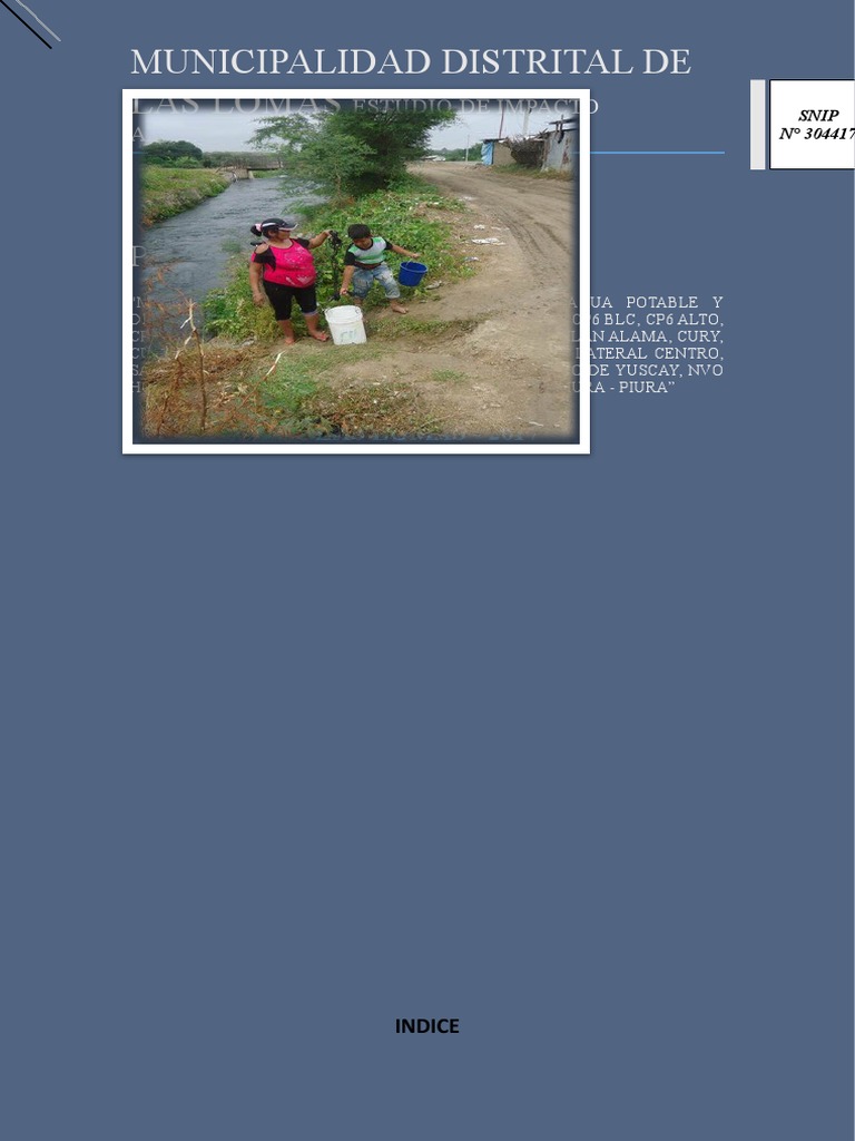 Estudio de Impacto Ambiental - Lomas | PDF | Herida | Agua