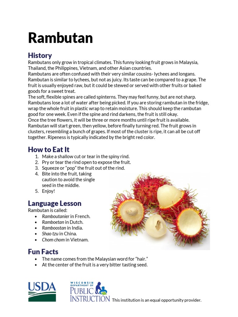 Fact Sheet Rambutan PDF | PDF
