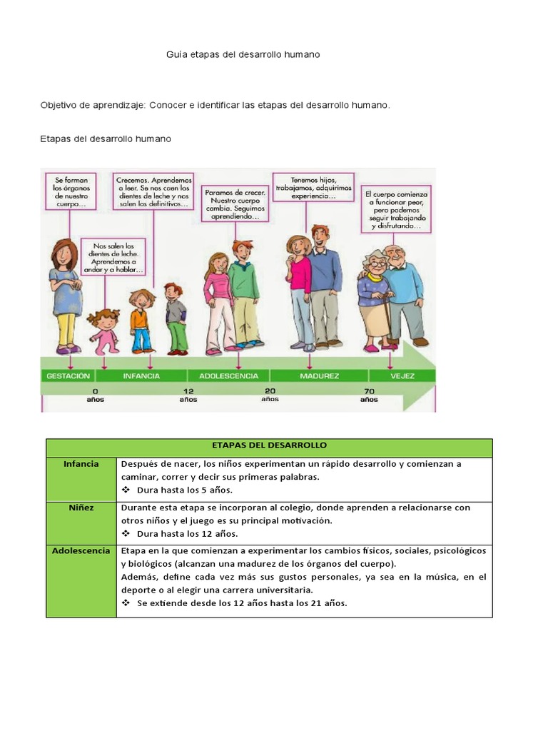 Guía Etapas Del Desarrollo Humano Pdf