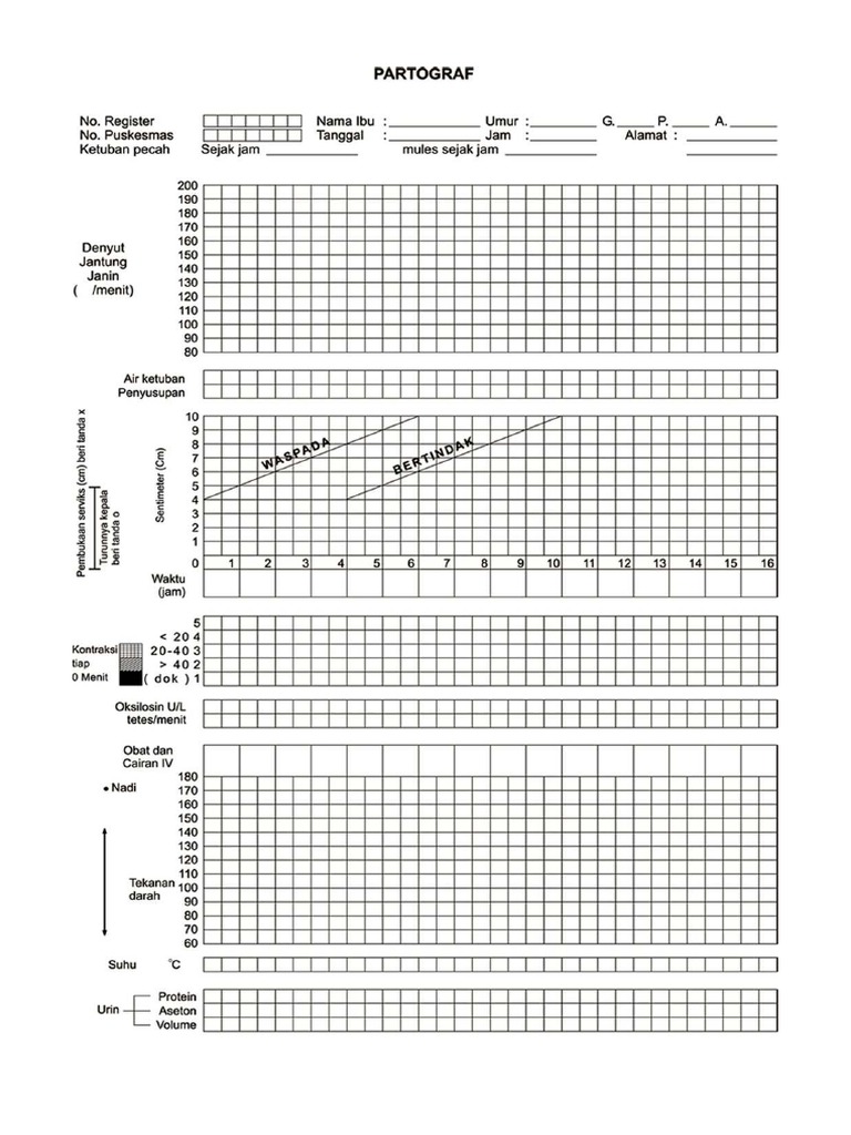 Partograf FORMAT A4 | PDF