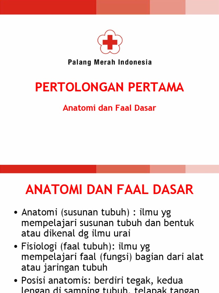 Anatomi dan Faal Dasar Pertolongan Pertama | PDF