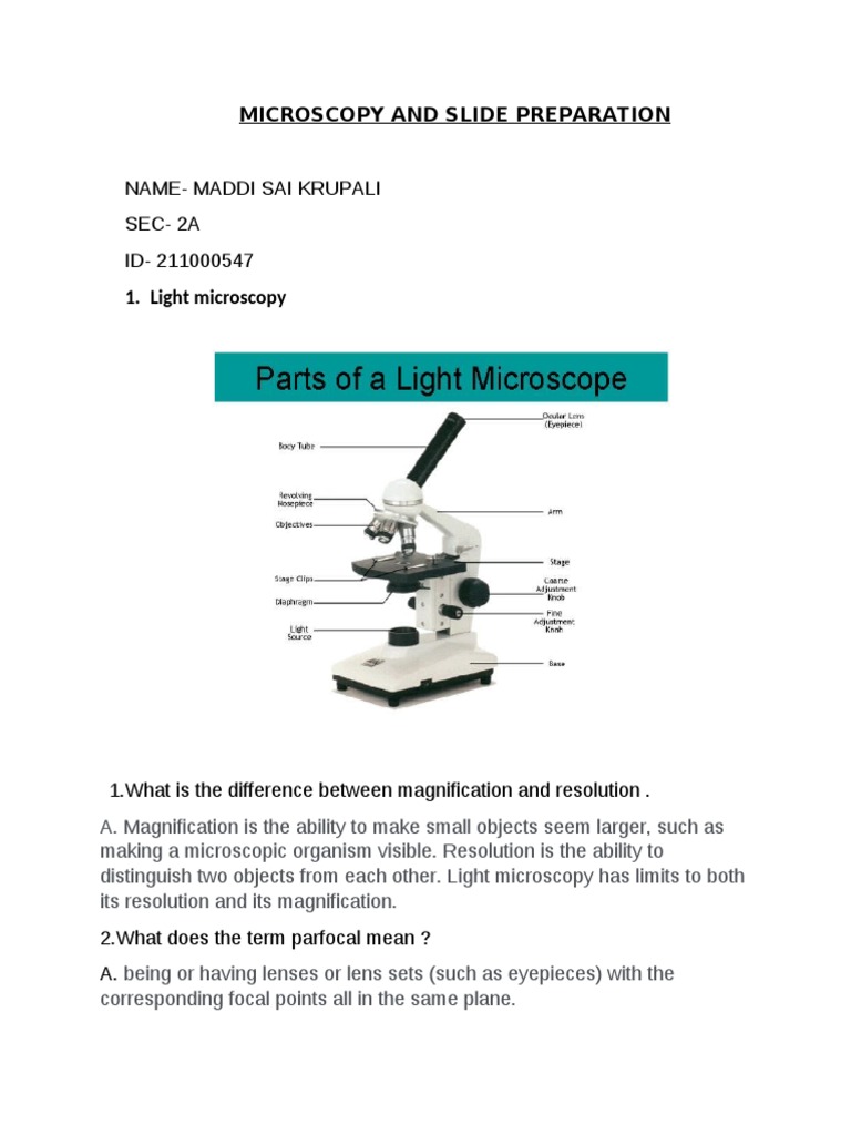 Activity 1 Microscopy and Slide Preparationmaddi | PDF | Microscopy ...