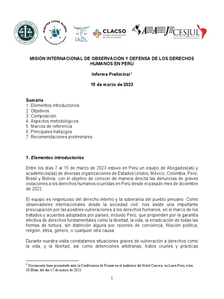 Informe Preliminar | PDF