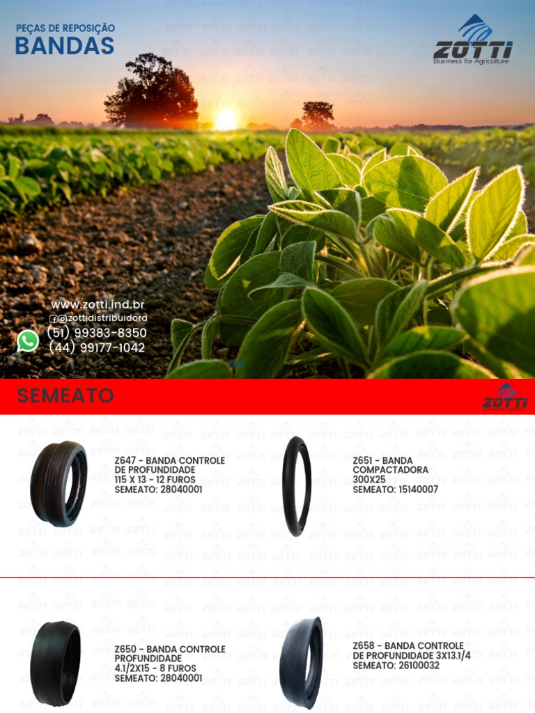 Bandas Zotti 2022 Atualizado | PDF