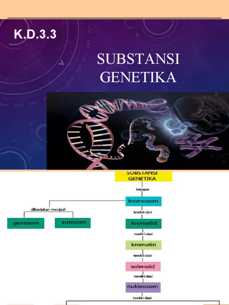 Perbedaan DNA dan RNA dalam Sintesis Protein | PDF