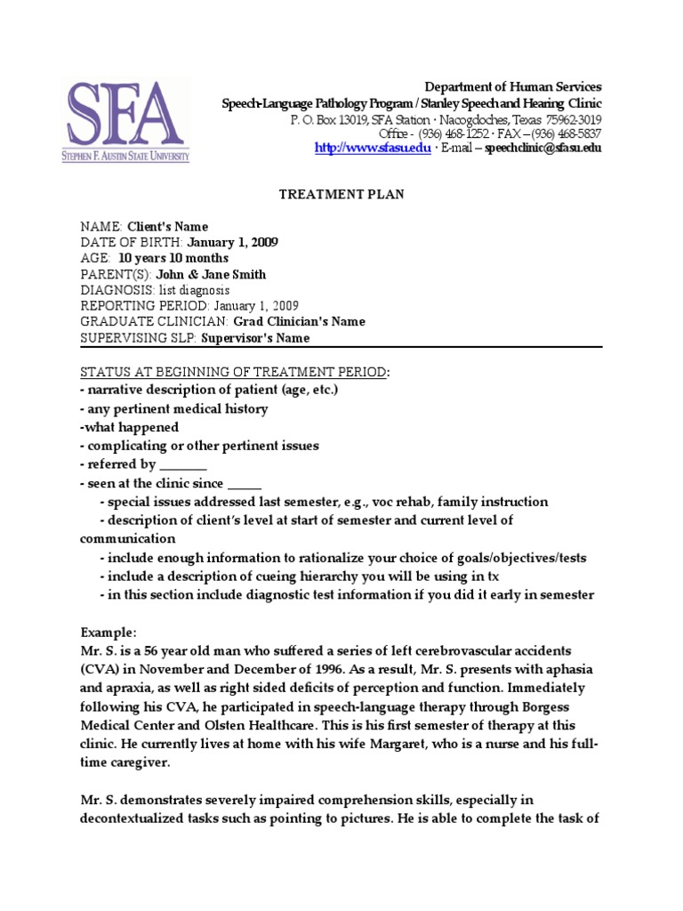 Speech Therapy Treatment Plan Example | PDF | Medical Diagnosis | Medicine