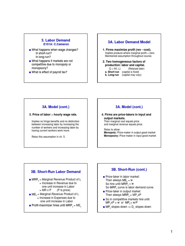 Labor Demand 3A. Labor Demand Model | PDF | Labour Economics | Long Run ...