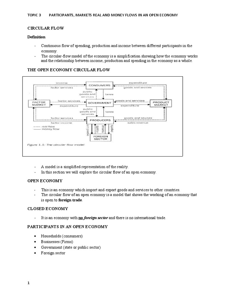 Topic 3 Circular Flow Grade 10 | PDF | Taxes | Gross Domestic Product