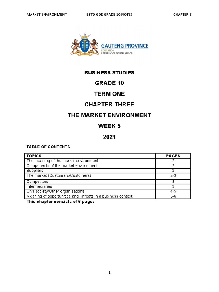 Grade 10 Market Environment Overview | PDF | Supply Chain | Customer