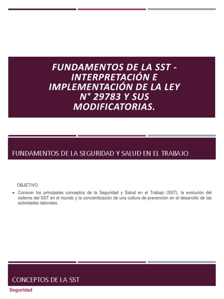 Interpretación de La Ley 29783 | PDF | Seguridad y salud ocupacional ...