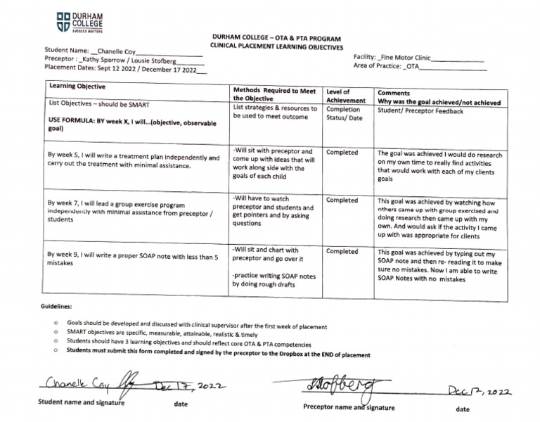 Smart Goals-Third Sem Chanelle Coy | PDF | Behavior Modification ...