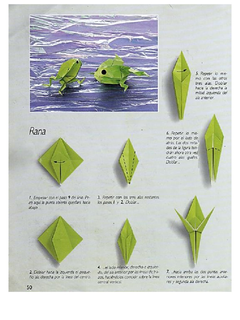 Rana de Origami | PDF