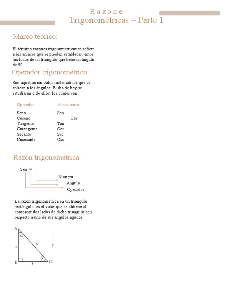 Razones Trigonométricas | PDF