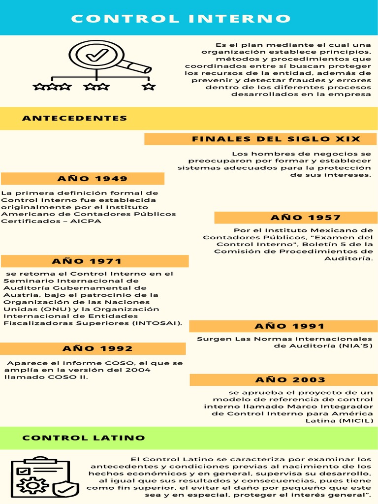 Infografia Control Interno | PDF