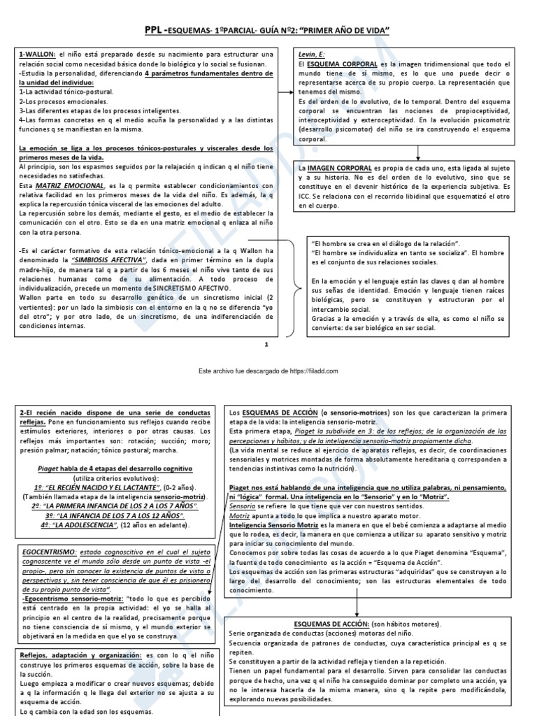 PPL Esquema n2 | PDF | Las emociones | Percepción