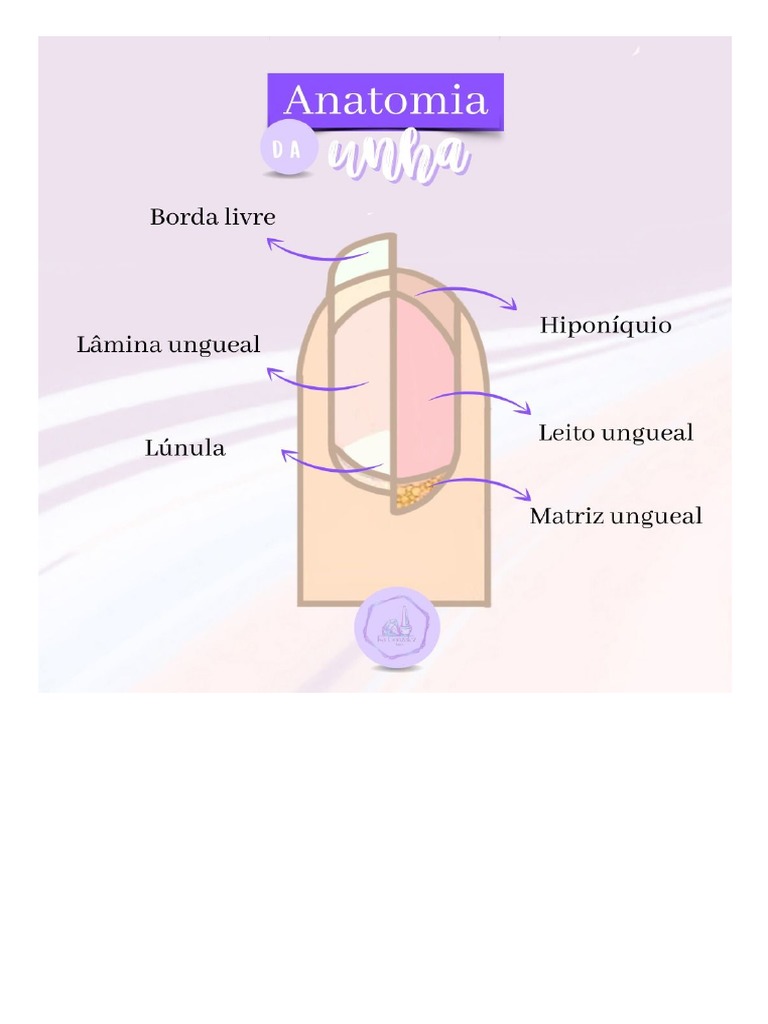Modelo de Unas | PDF