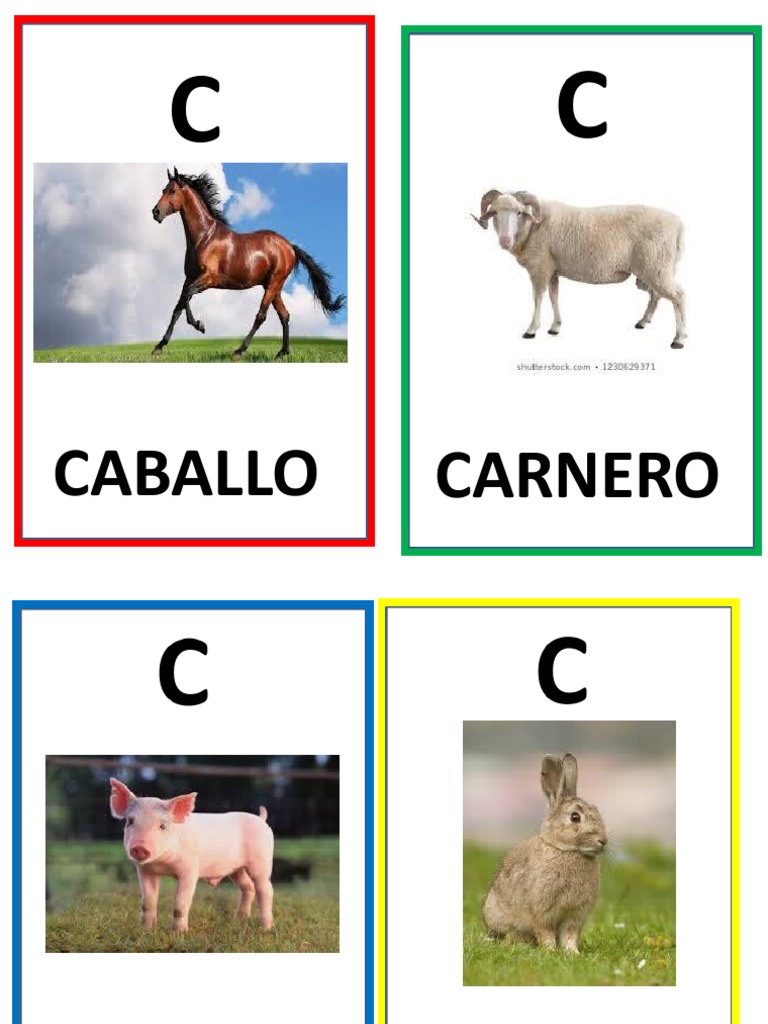 Animales Tarjetas | PDF