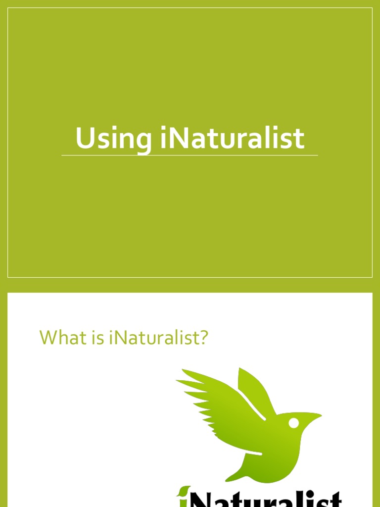 Understanding iNaturalist Basics | PDF | Career & Growth | Social Science