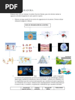 NM05 - Integradora | PDF