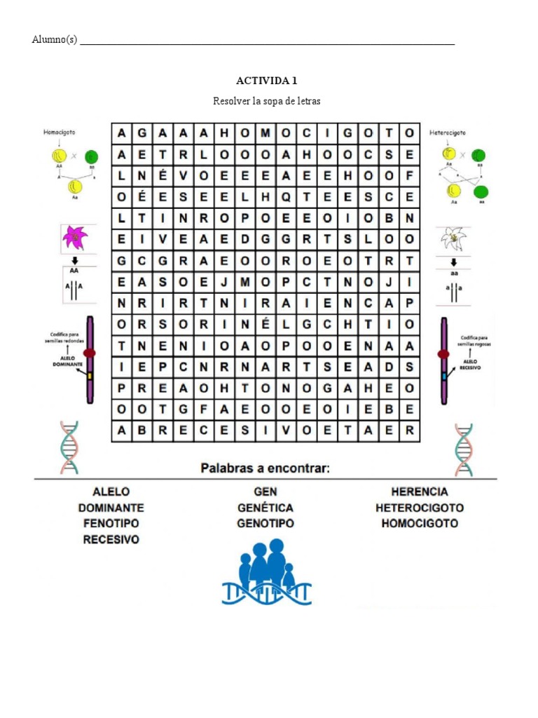 ACTIVIDAD GENETICA | PDF